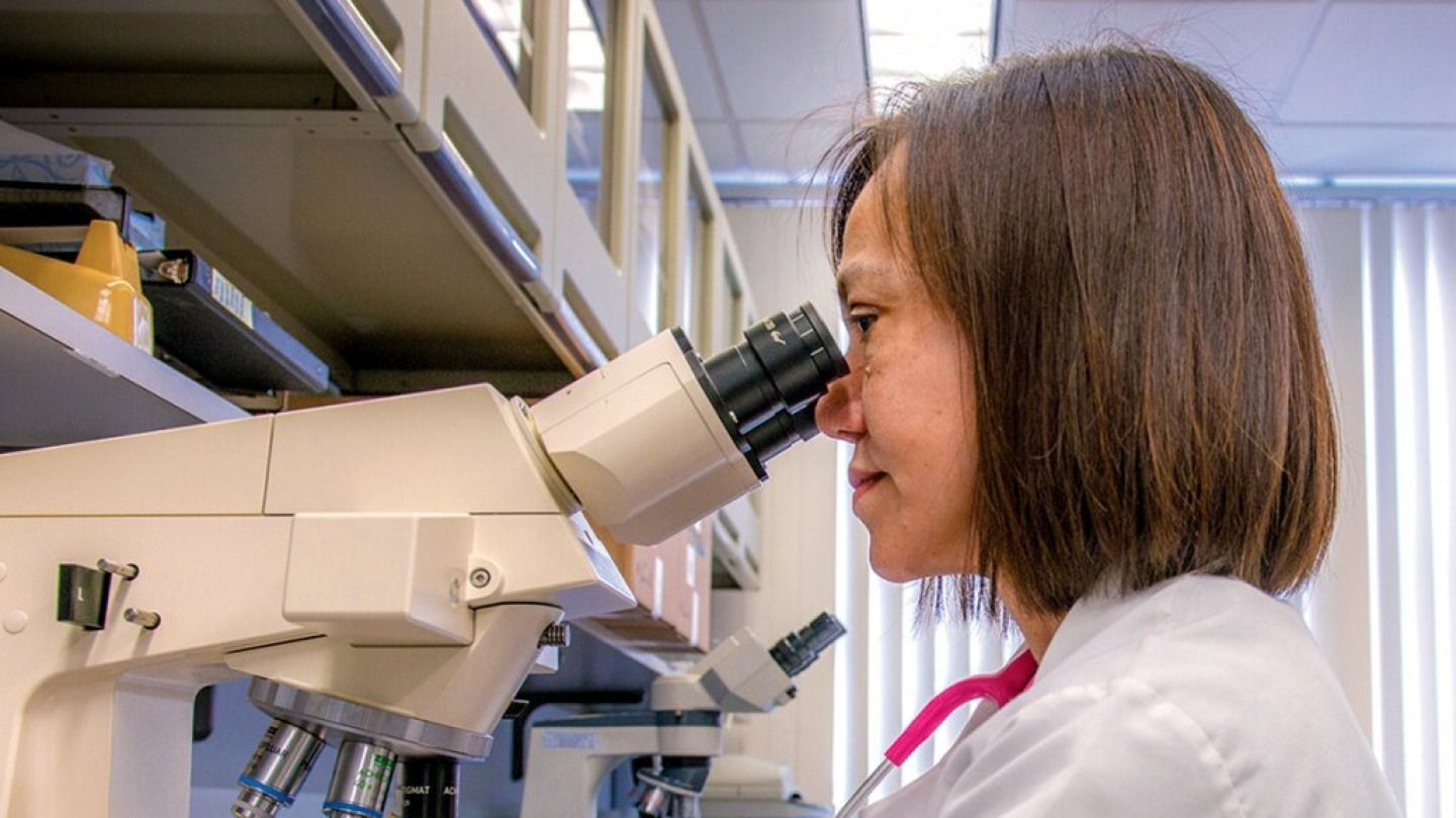 Community Spotlight: World Cervical Cancer Elimination Day | Center for ...